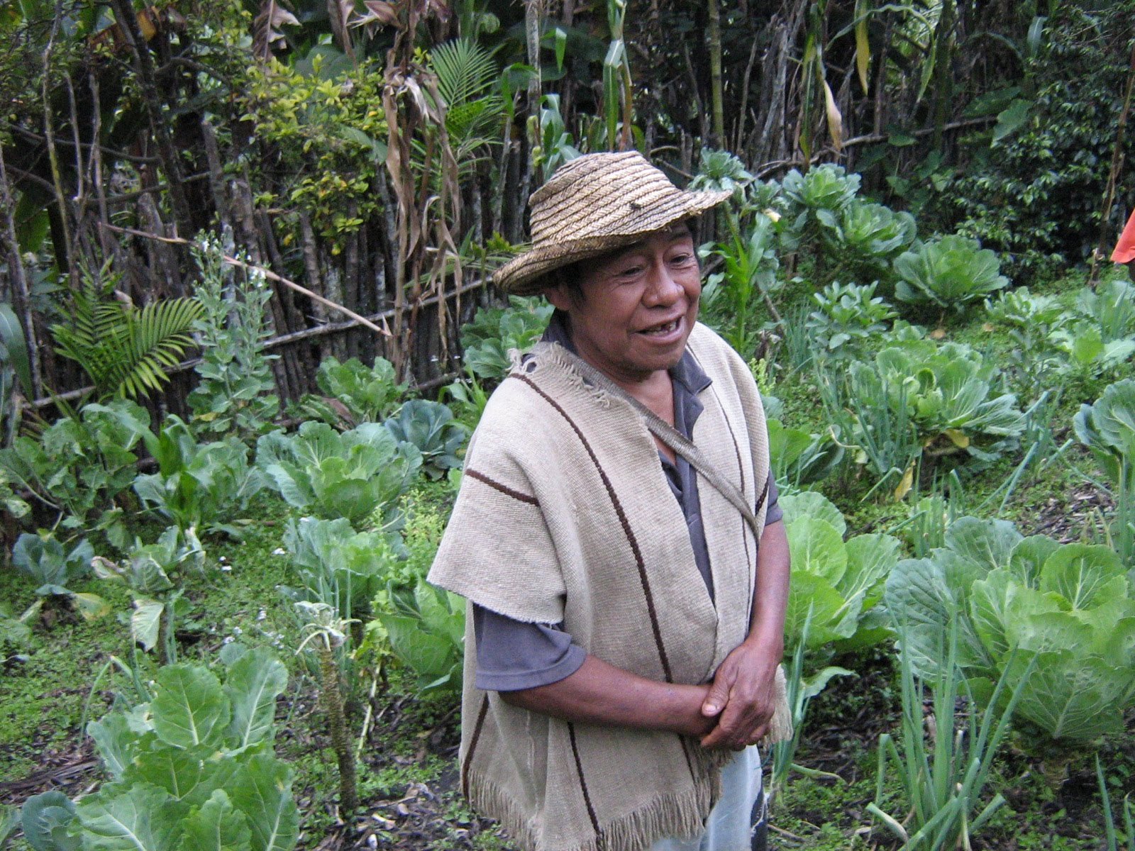 PUEBLO NASA, CONSTRUCTORES DE PAZ MANDATO – News Press Service